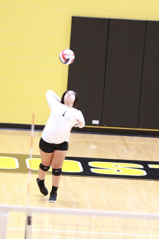 VHS volleyball knocks off Highland Christian, Colquitt Co. on Senior ...