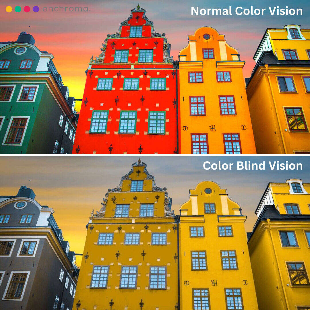 EnChroma Announces Organizations Can Now Join International Color ...