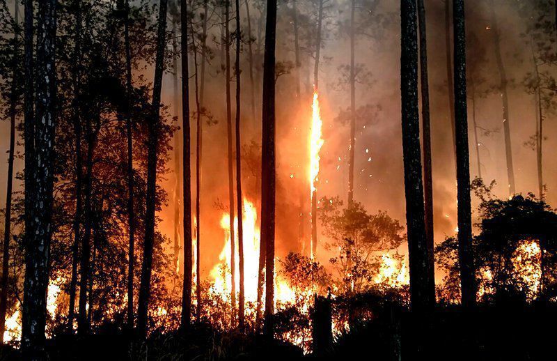 Georgia community keeps watchful eye on swamp fire; evacuation possible ...