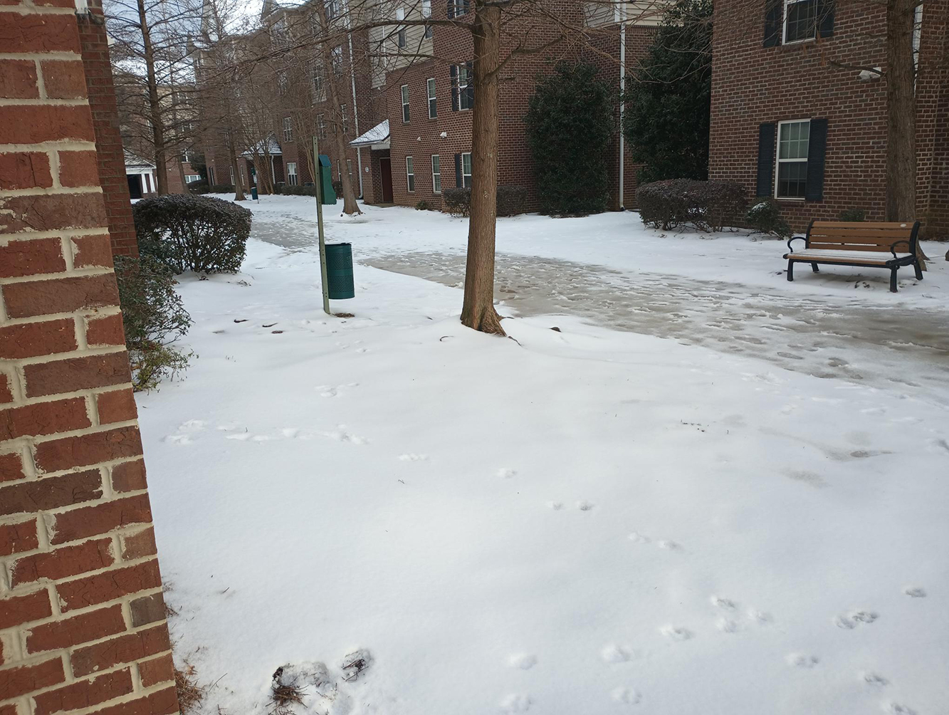 South Georgia digs out from snowstorm | Valdosta Daily Times