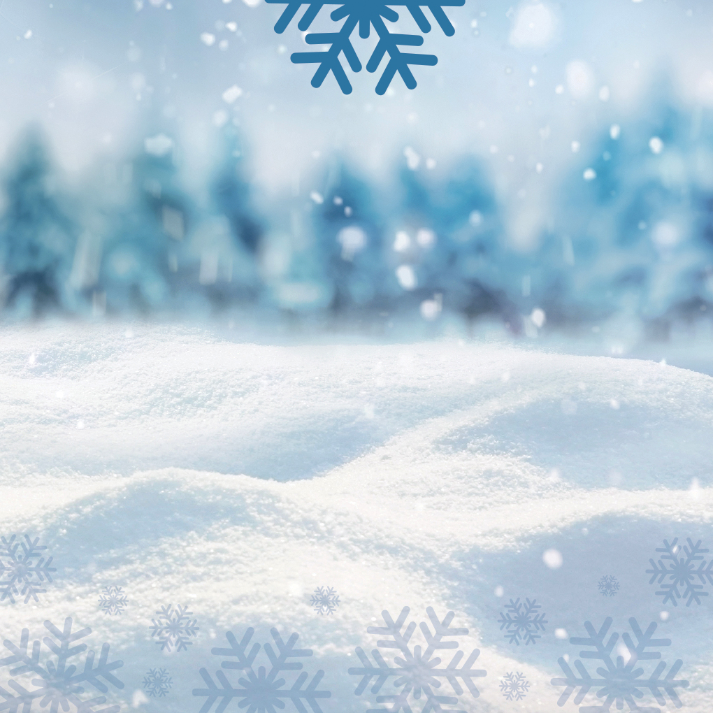 Lowndes hunkers down for snowstorm | Valdosta Daily Times