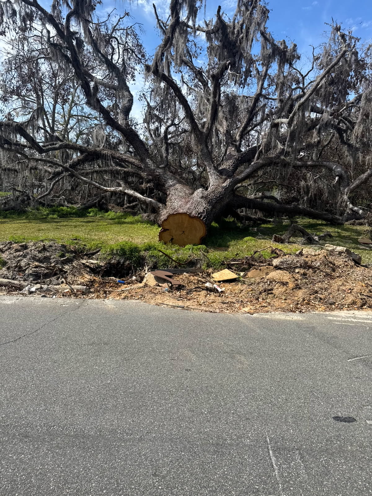 Historic Photo of the Week March 25 | Valdosta Daily Times