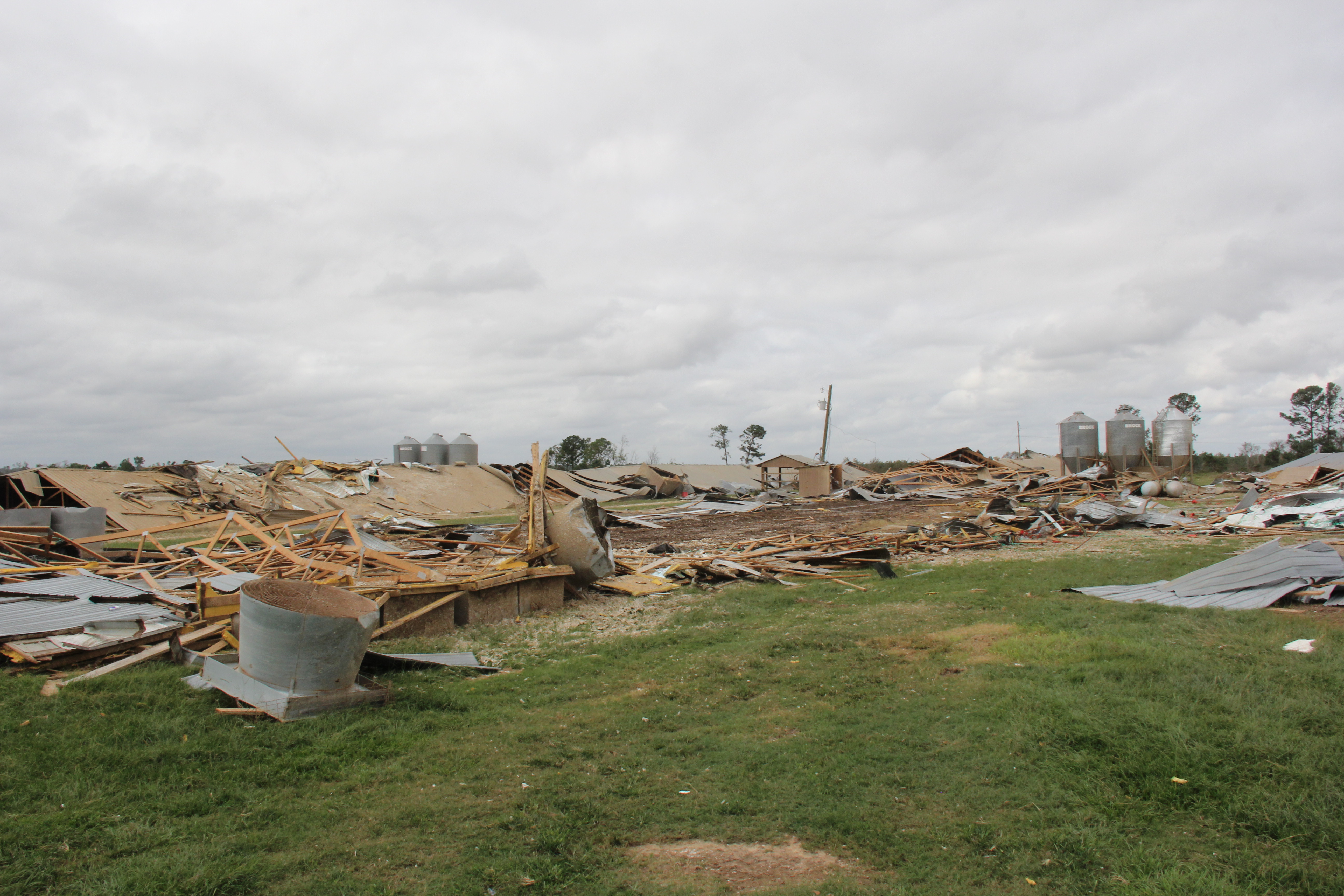 Georgia farmers, foresters still awaiting disaster relief a year after ...